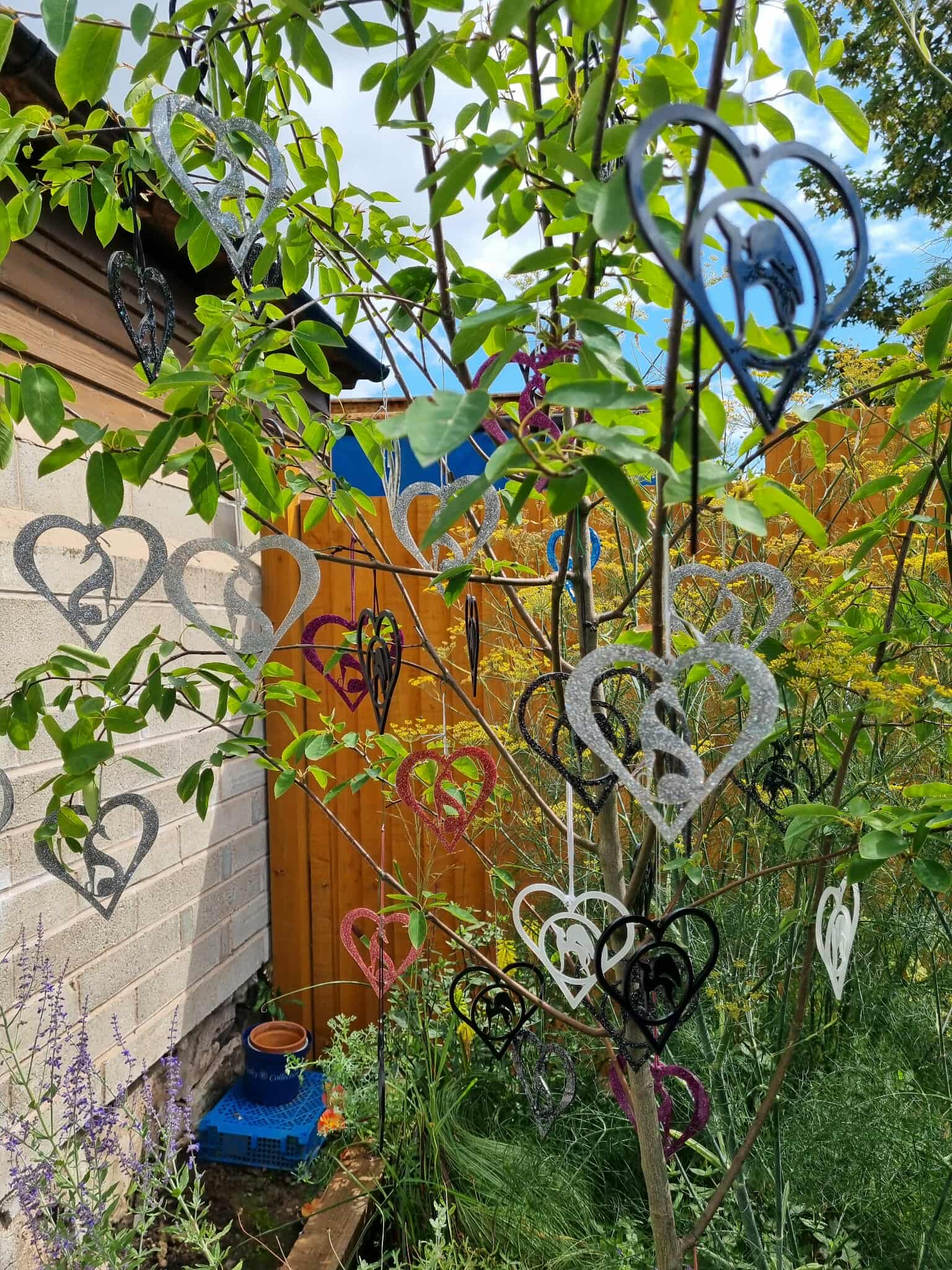 🌟REMEMBRANCE TREE IN SENSORY GARDEN AT KENNELS🌟 - Makants Greyhound ...